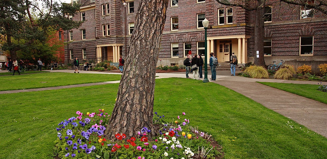 Contact the School of Global Studies and Languages | School of Global ...